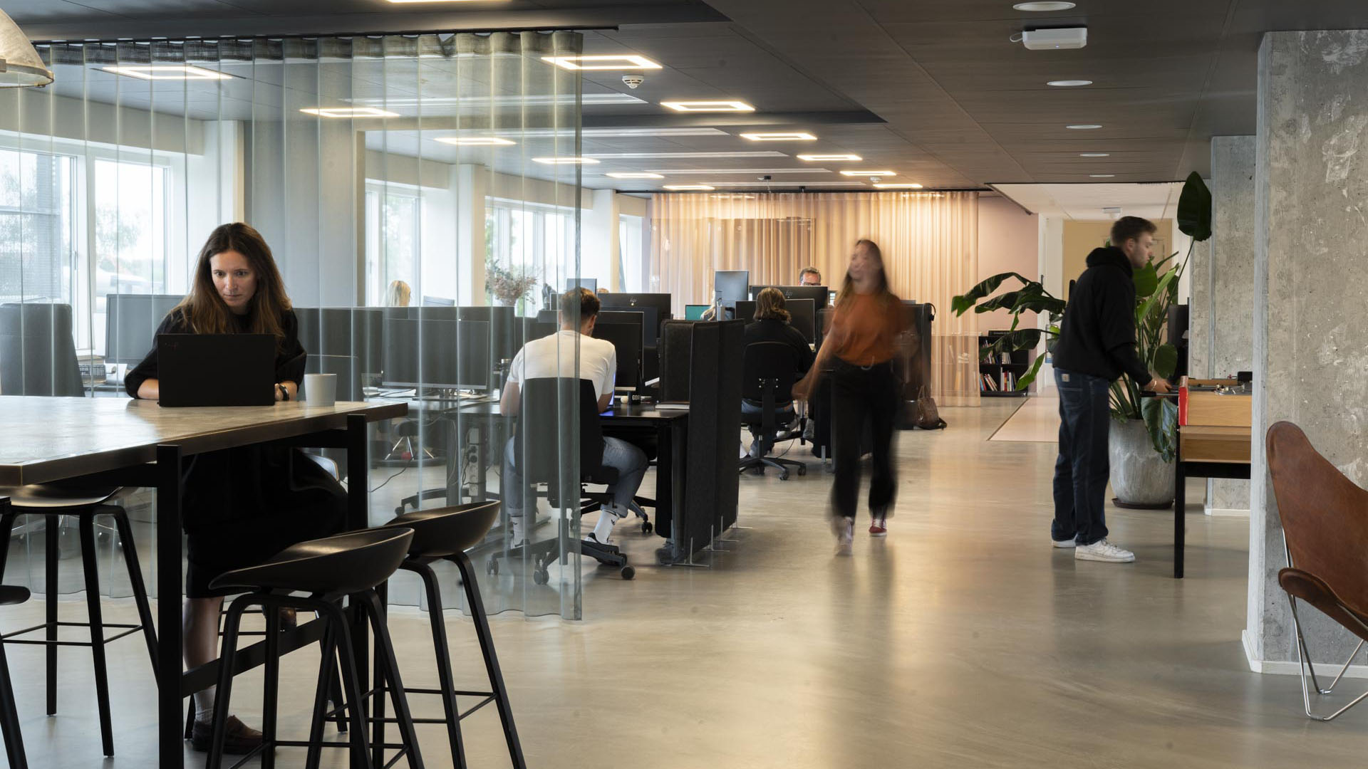 Welcome to First Chair Group